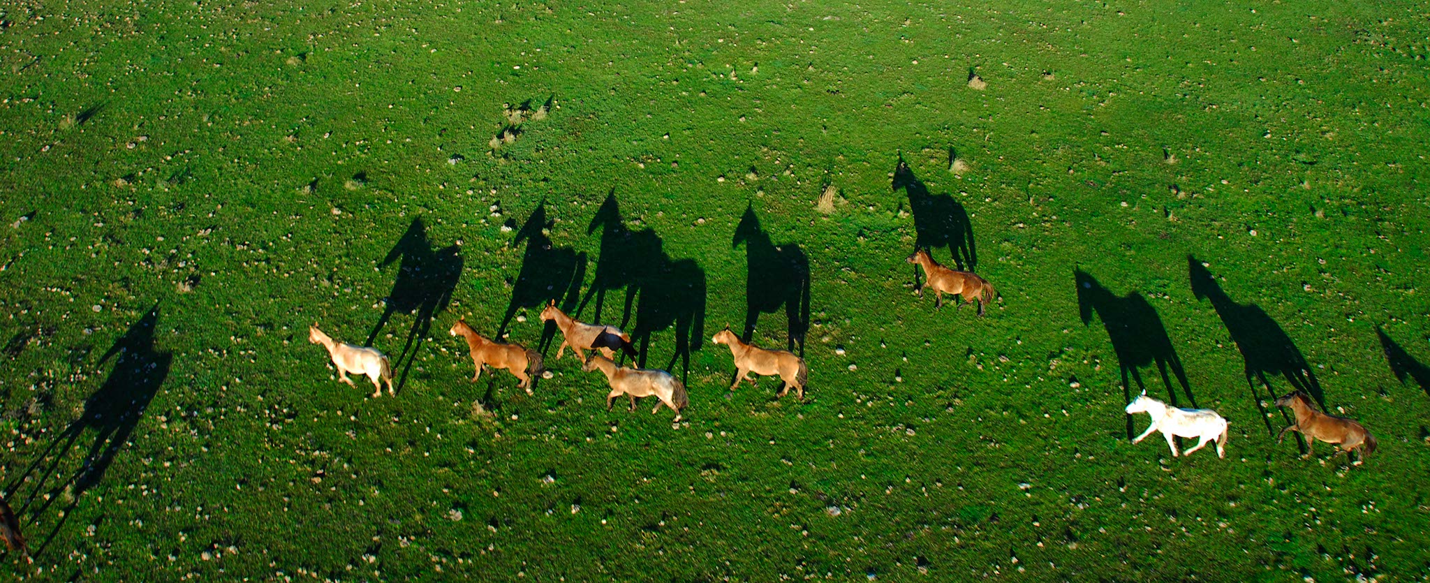 Nacho Guani Aerials in Uruguay - Film and Digital TimesFilm and Digital ...