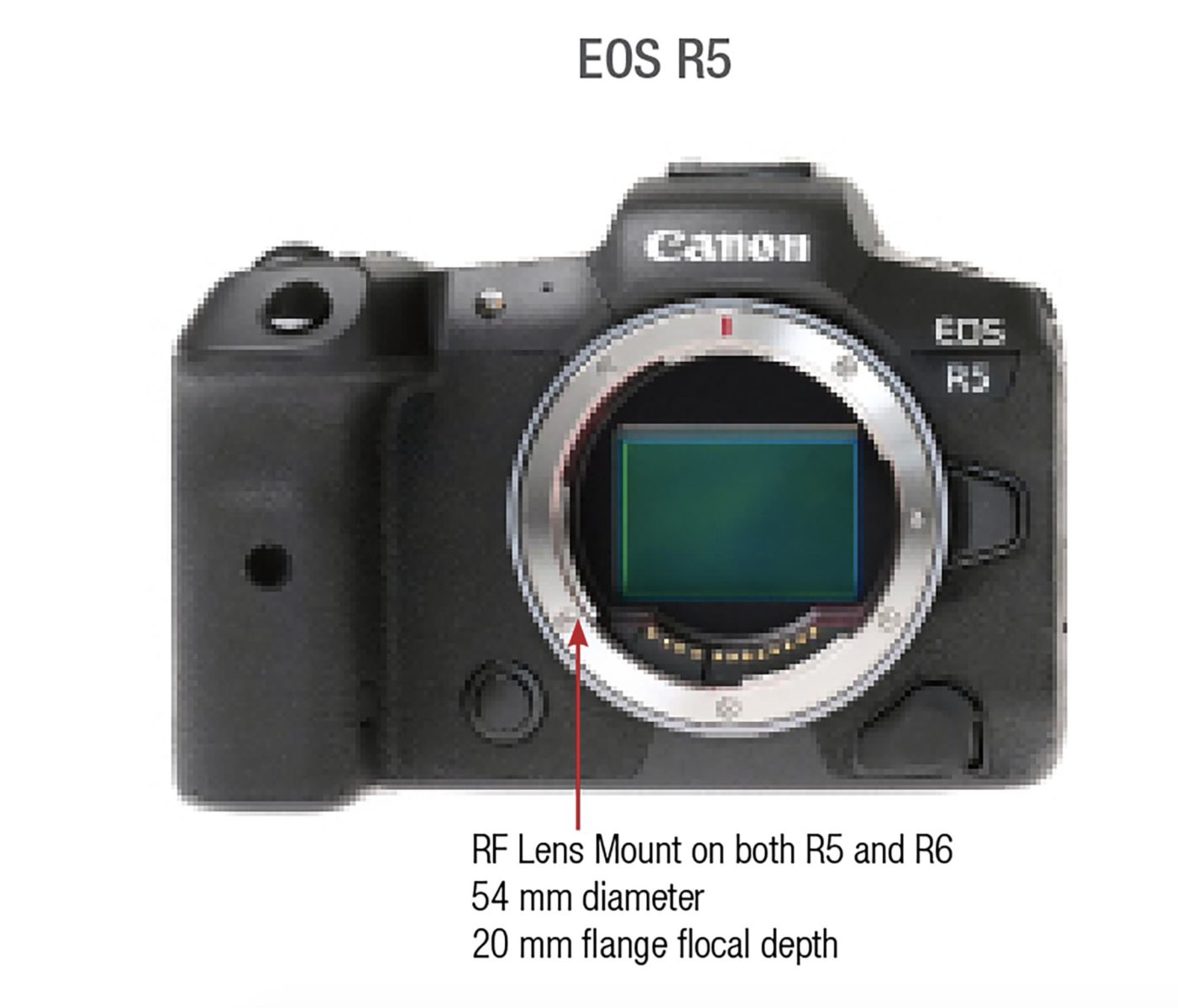 Canon EOS R5 and EOS R6 - Film and Digital TimesFilm and Digital Times