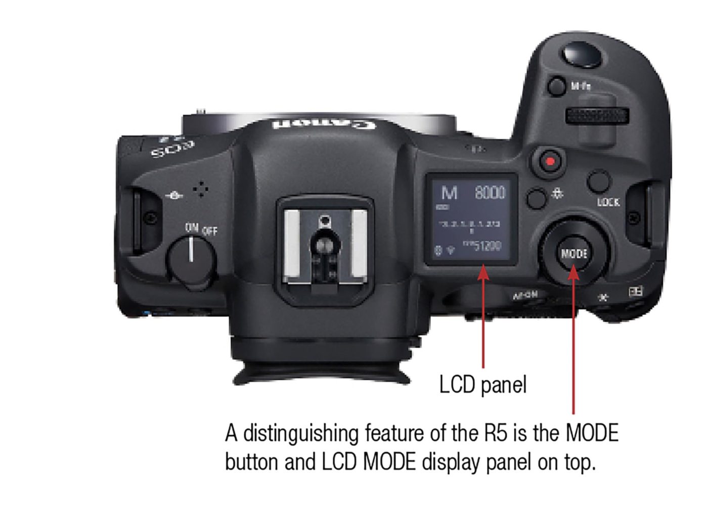 Canon EOS R5 and EOS R6 - Film and Digital TimesFilm and Digital Times